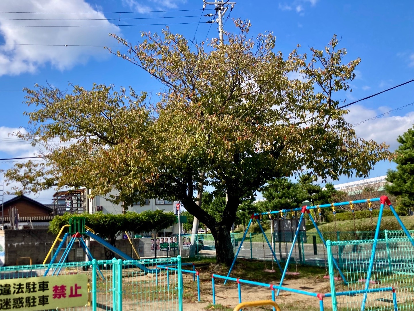 吉田拡郎が秩父宮妃記念杯を初制覇: 我が道・輪が道・一本道・自転車道