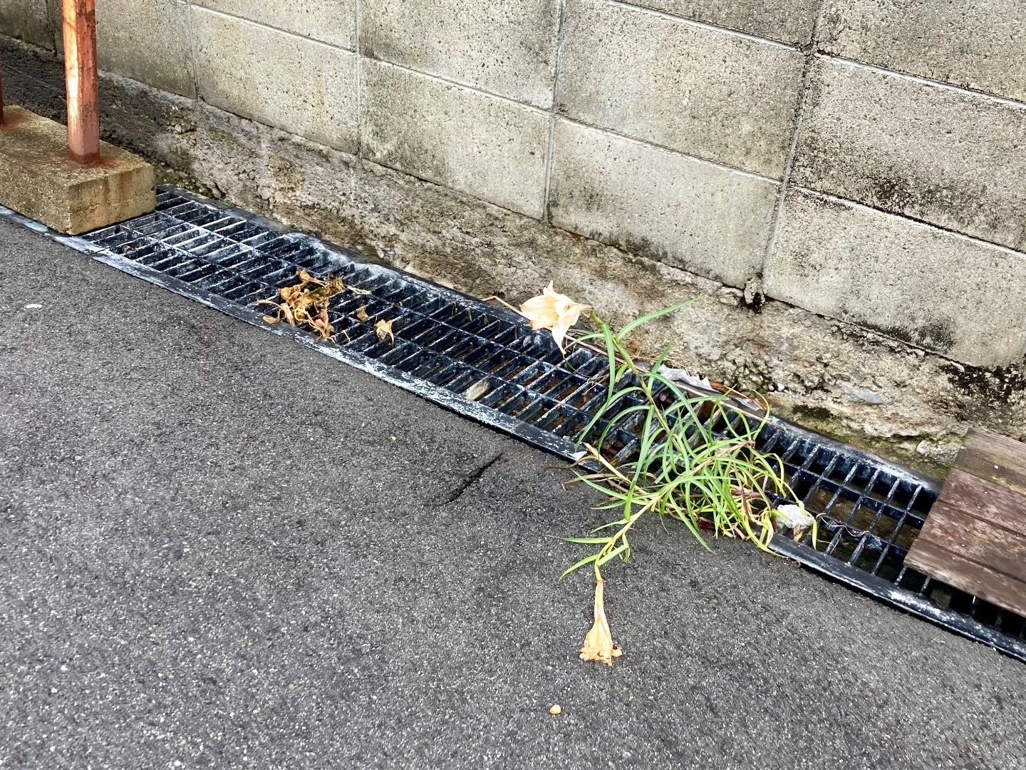 江戸川GⅡは湯川浩司が優勝: 我が道・輪が道・一本道・自転車道